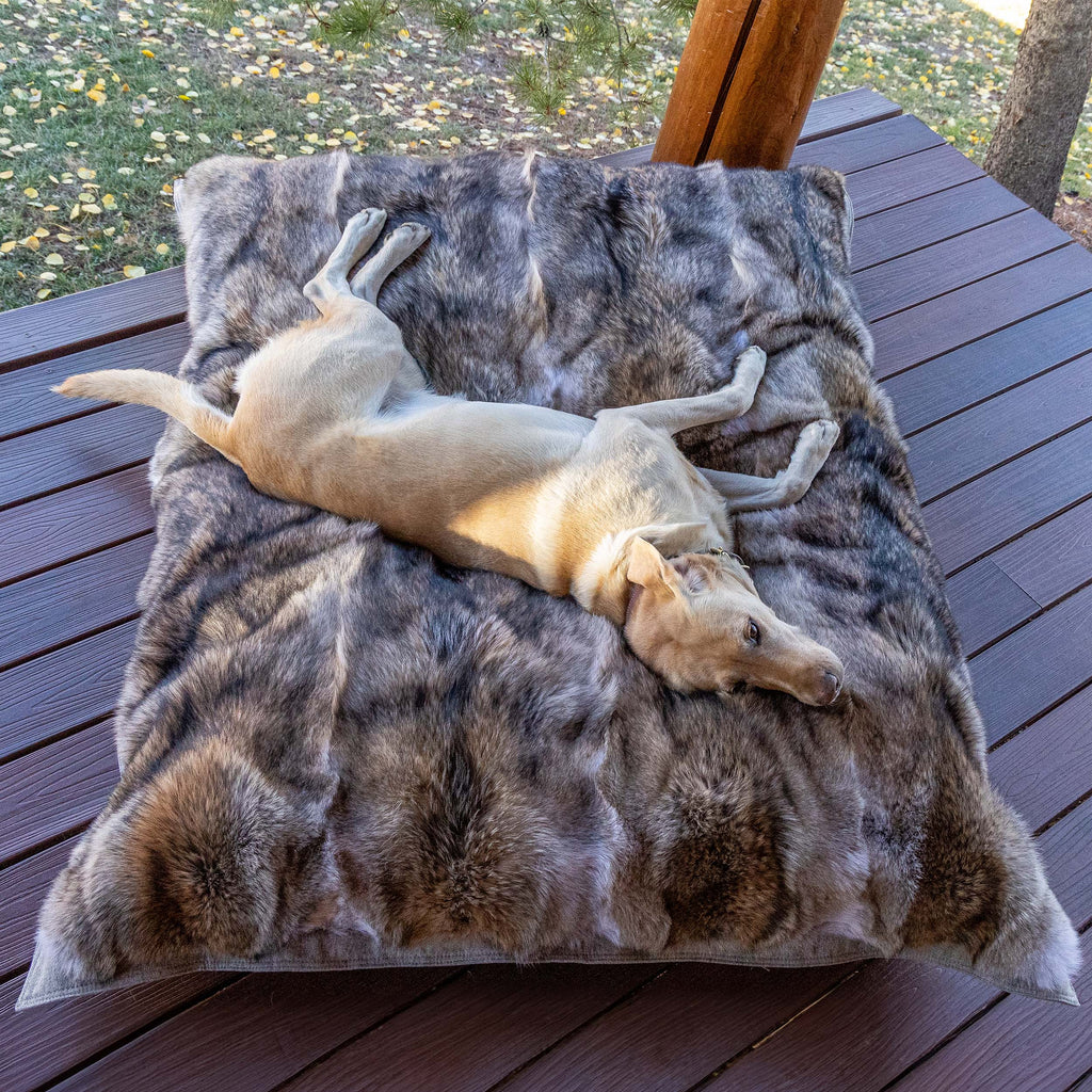 Elegant Coyote Fur Bean Bag - 4' x 6' Rectangle with Organic Latex Fil ...