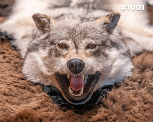 Real Wolf Fur – True North Furs